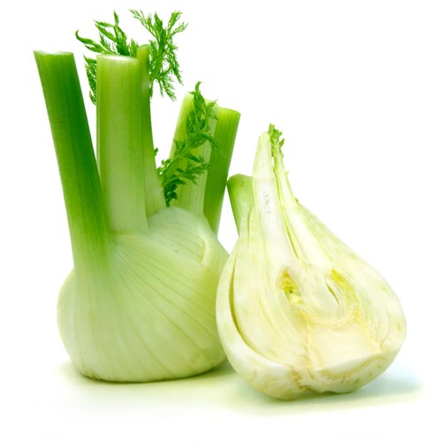 Health Benefits of Fennel