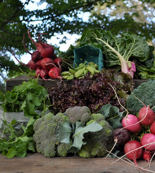 How to Choose the CSA Program That's Right for You