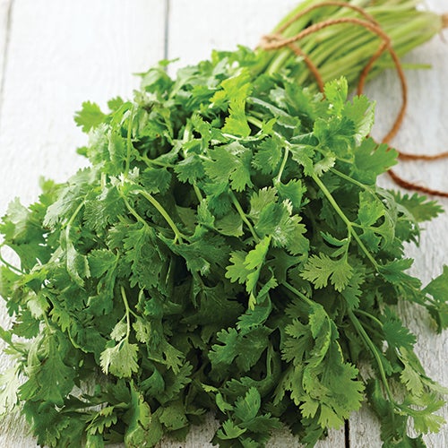 Cilantro Recipes | Cooking with Cilantro