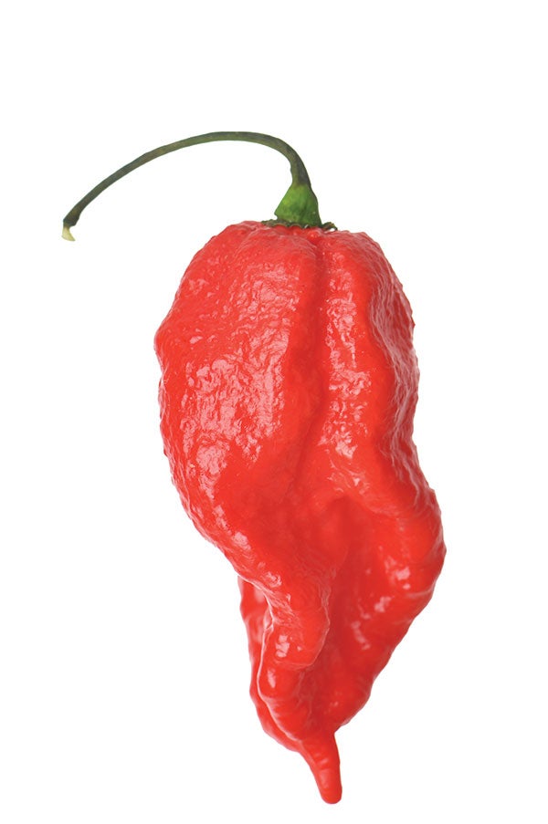 The Healing Properties of Hot Peppers