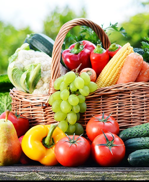 Diversify Your Diet for Better Gut Health