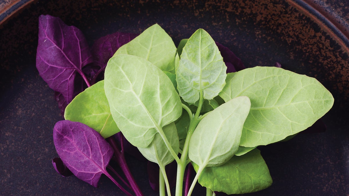 Meet Your New Super Green: Orach