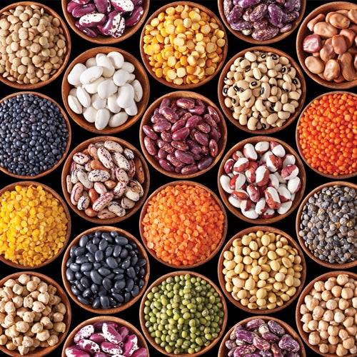 The Best Meatless Protein Sources | Best Sources of Meatless Protein