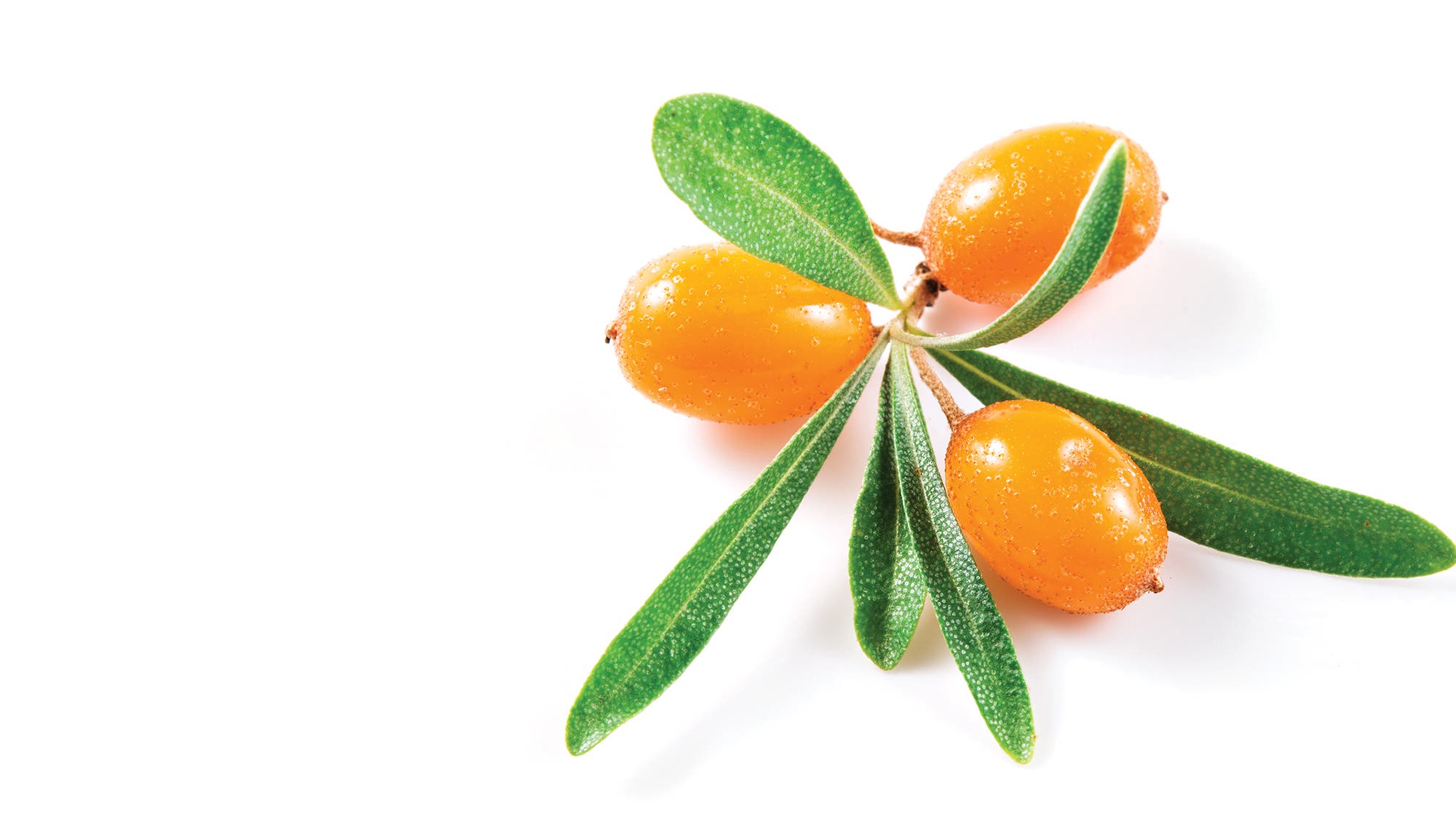 Why You Need Omega-7 In Your Diet