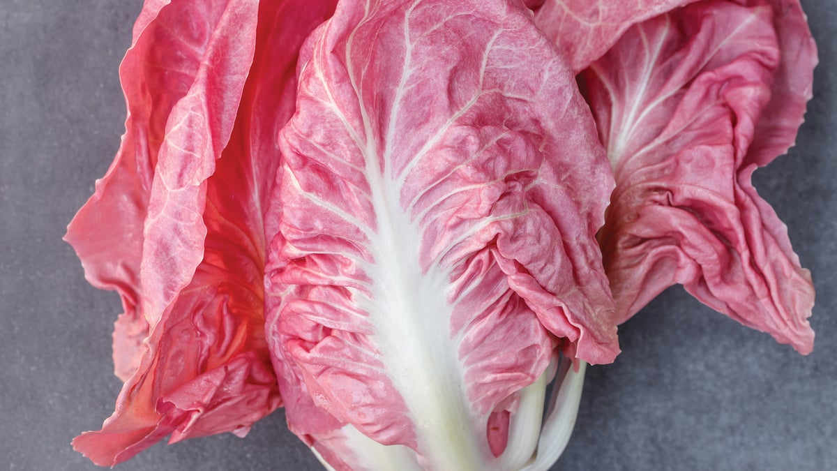 What is Pink Radicchio?