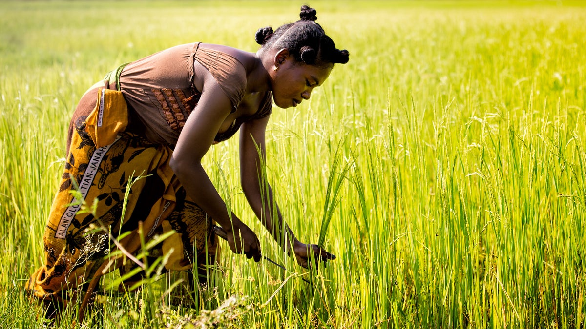 Why a Diverse Diet Matters | What is Biodiversity?