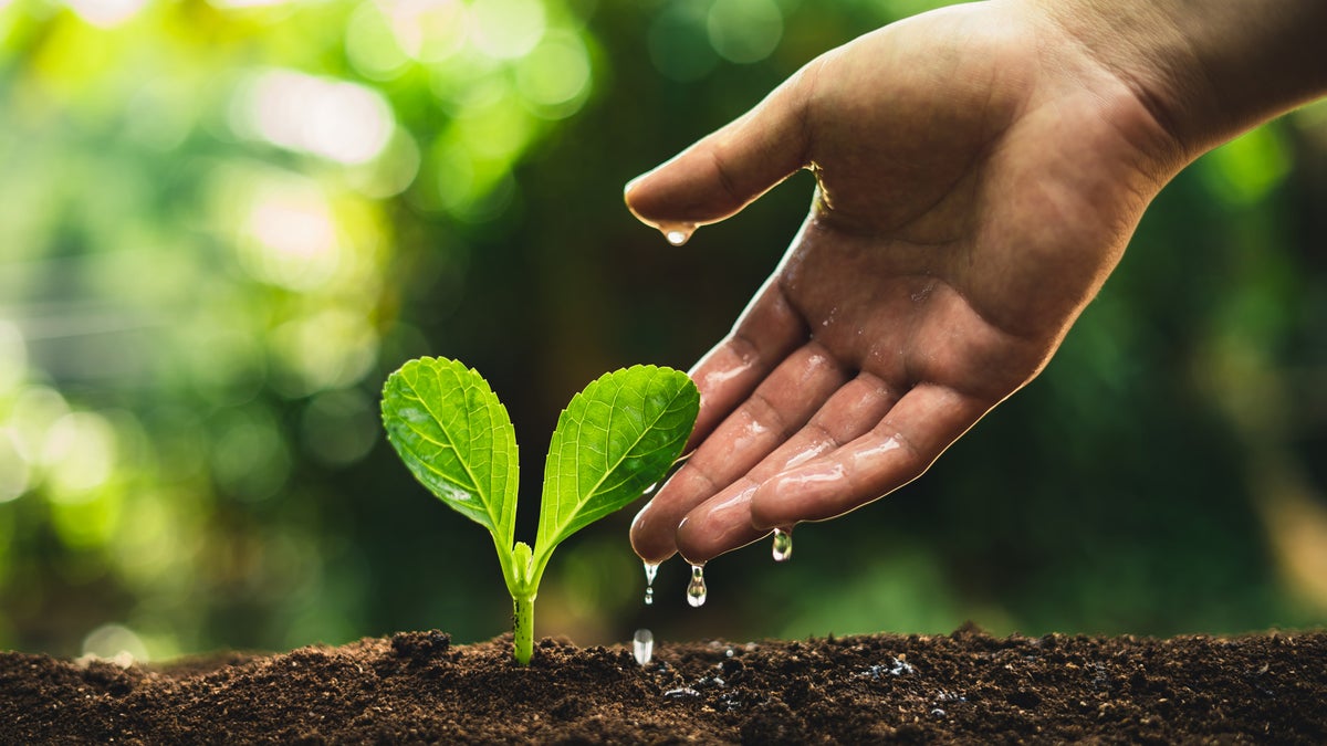 Water-Friendly Food Choices