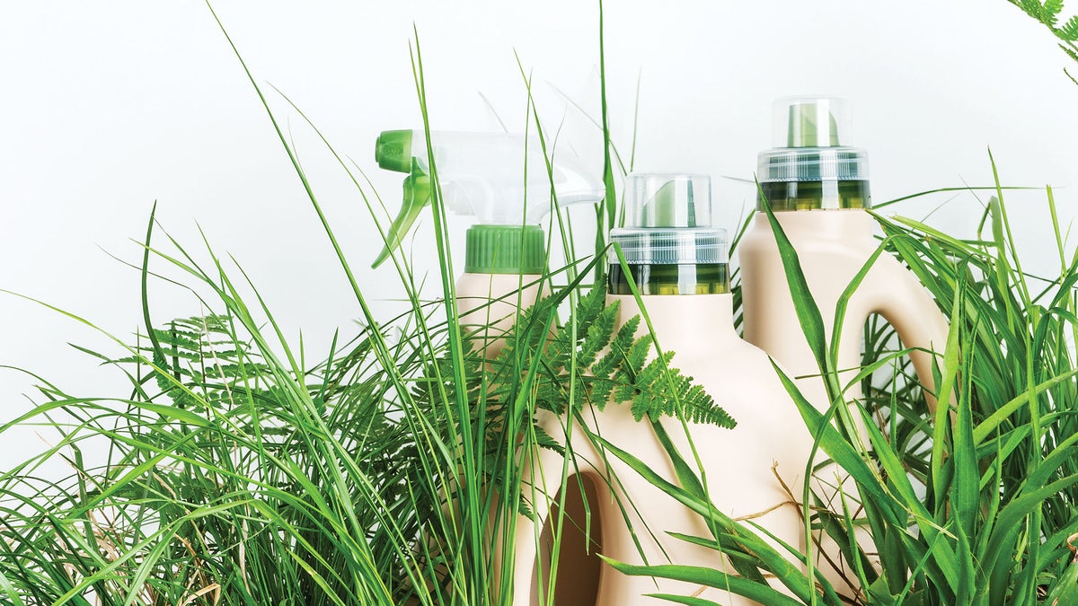 How to Make Informed Eco-Friendly Choices - Clean Eating