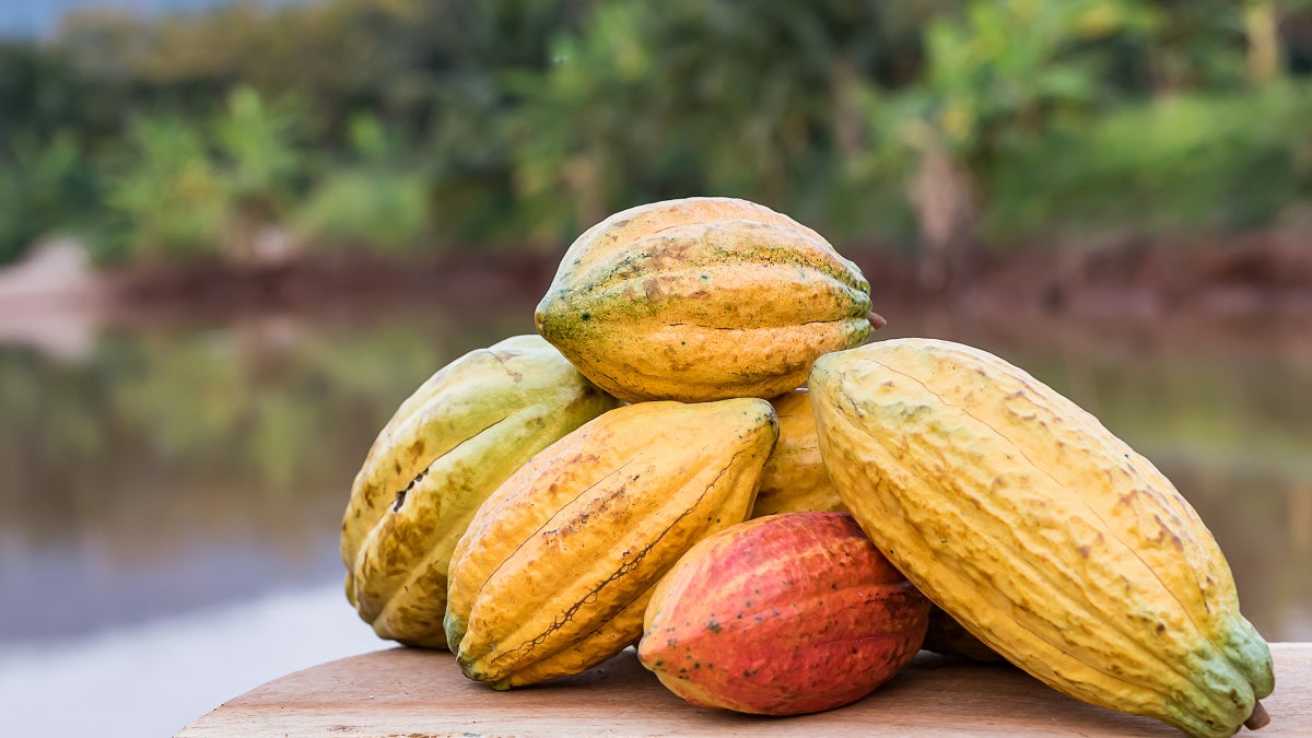 Cacao Water: A Healthy Alternative to Sugary Sports Drinks - Clean Eating