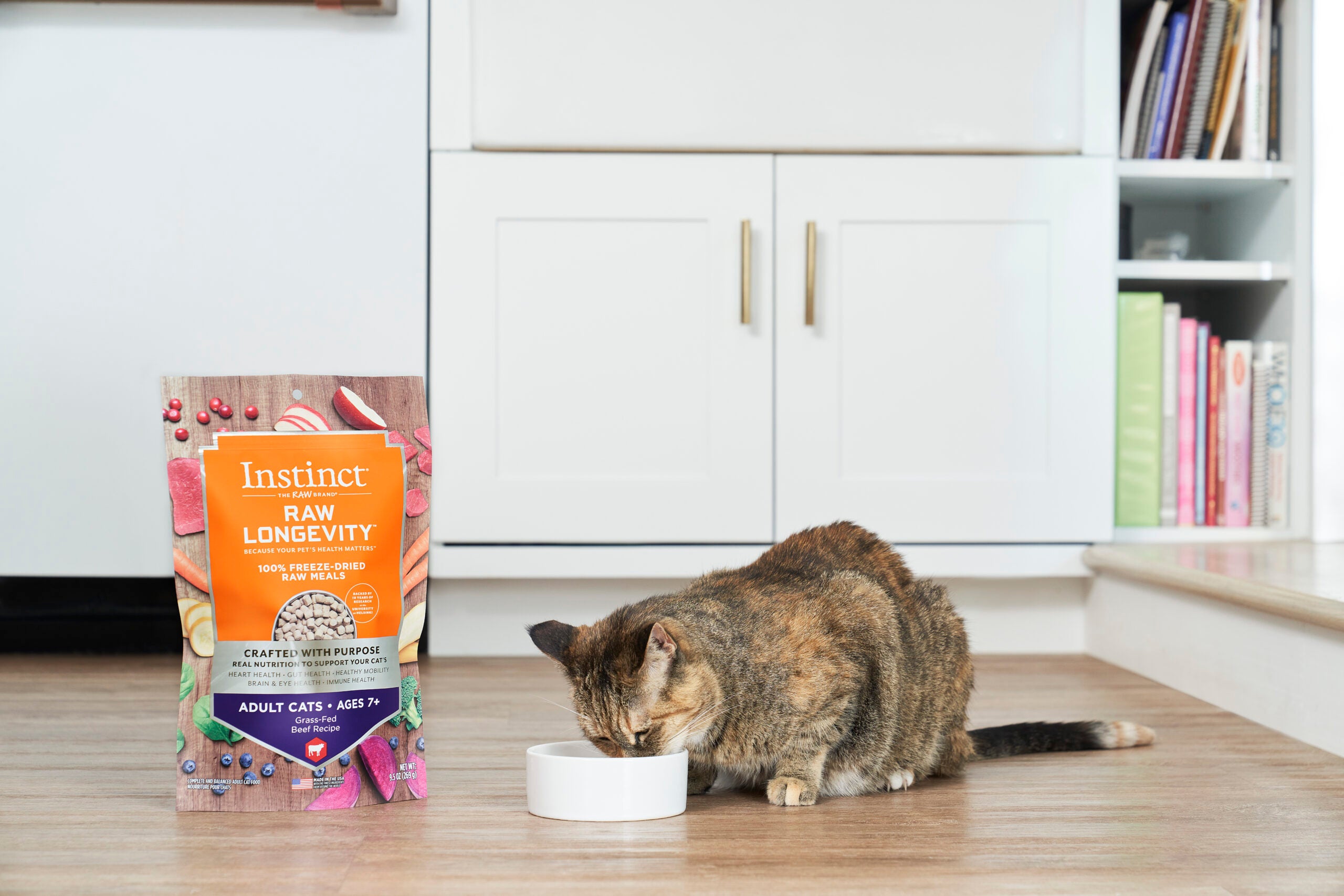 How to Feed a Picky Kitty - Clean Eating