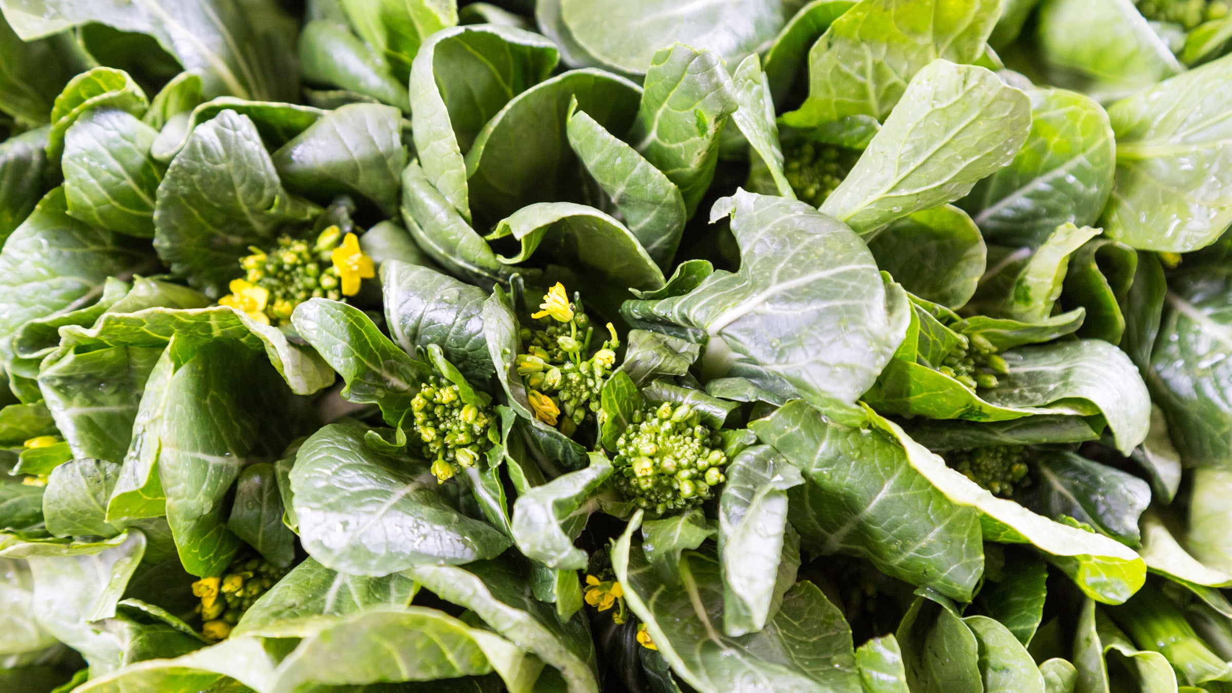 Asian Vegetables That'll Breathe New Life Into Cooking - Clean Eating