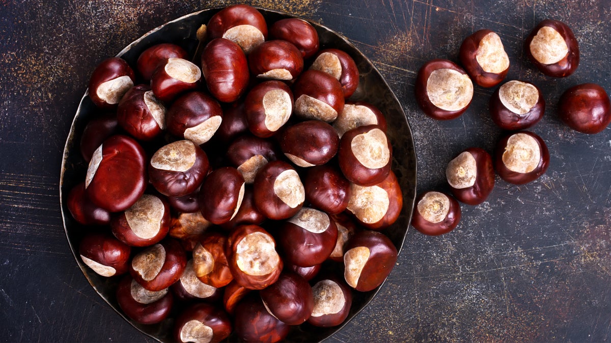 Chestnuts Are a Nutrient-Packed Addition to Holiday Meals - Clean Eating