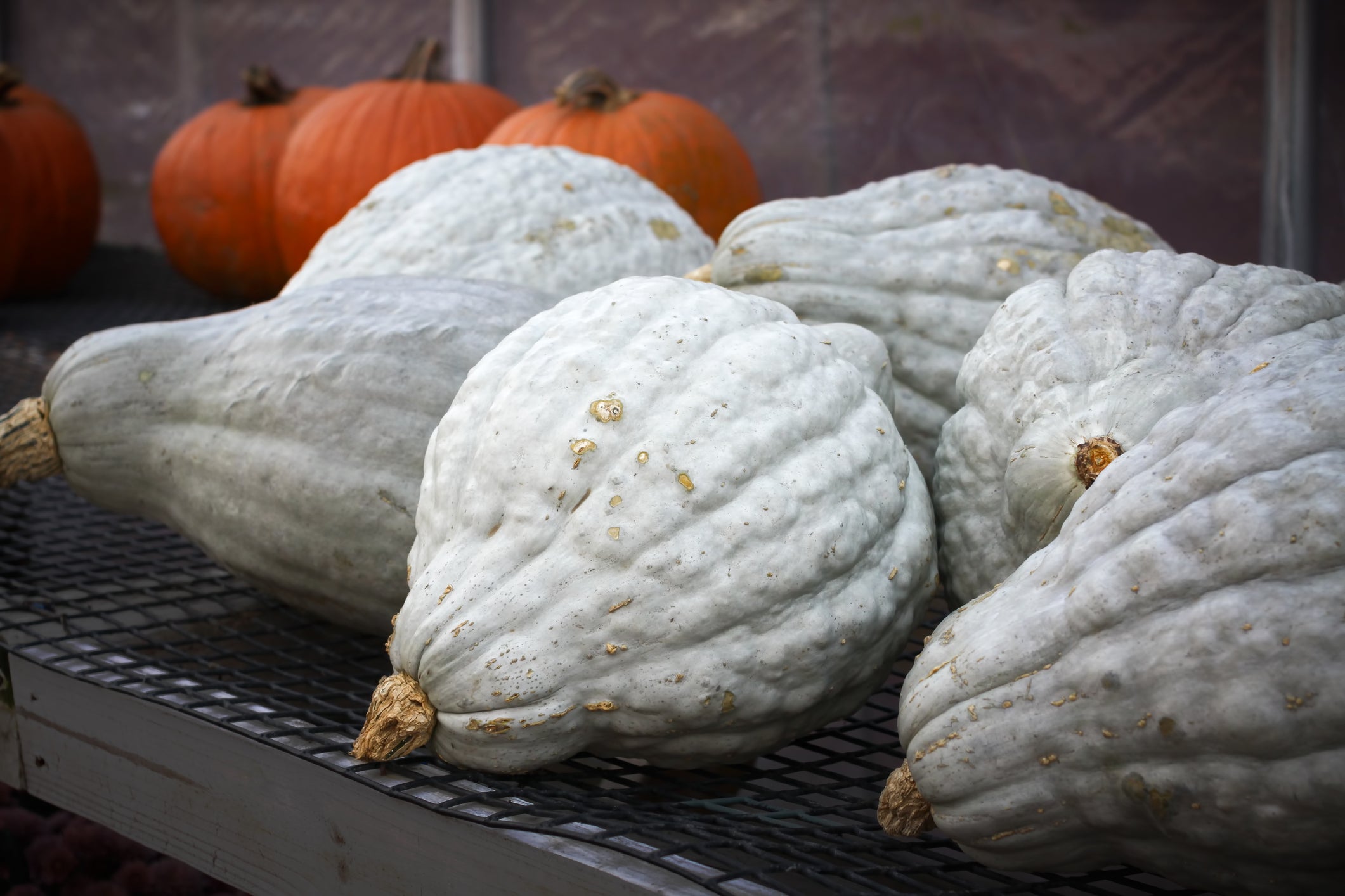 4 Squash Varieties You Should Try - Clean Eating